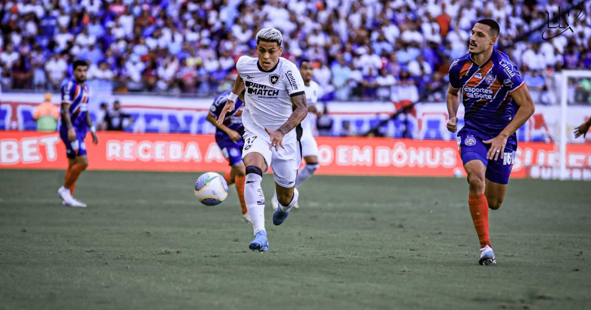 Qual o resultado do jogo Bahia x Botafogo? - Bahia Notícias