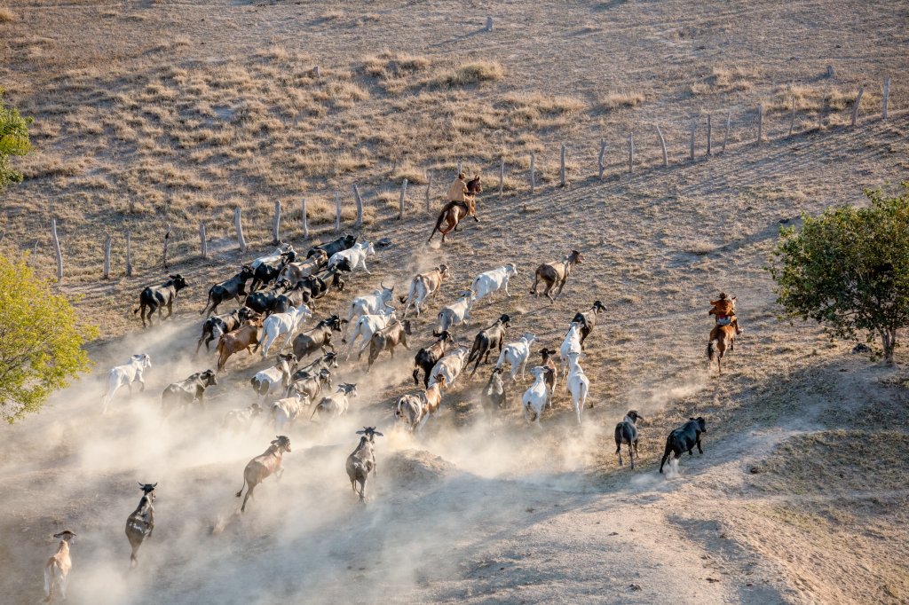 Arquitetando: Rui Rezende lança livro e celebra cenários e paisagens da ...