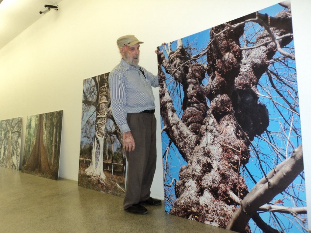 Obras do polonês Frans Krajcberg serão expostas no Museu de Arte ...