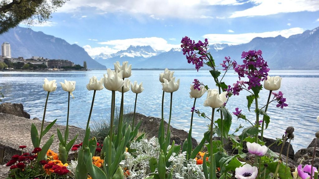 Davidson pelo Mundo: Genebra (ou Genève), o charme mora aqui ...