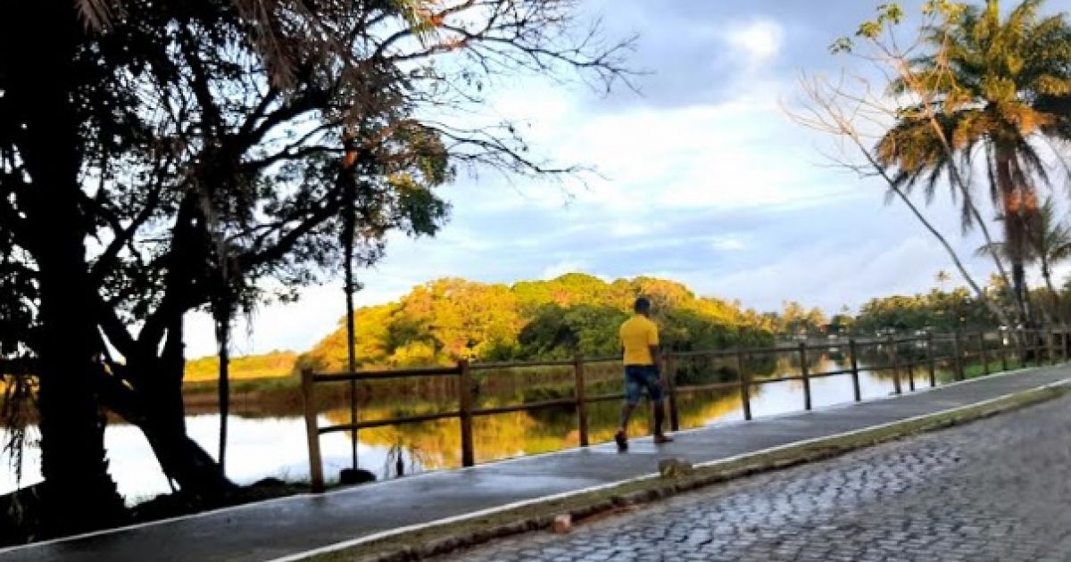 Praia do Forte: Prefeitura proíbe entrada de carros particulares em ...