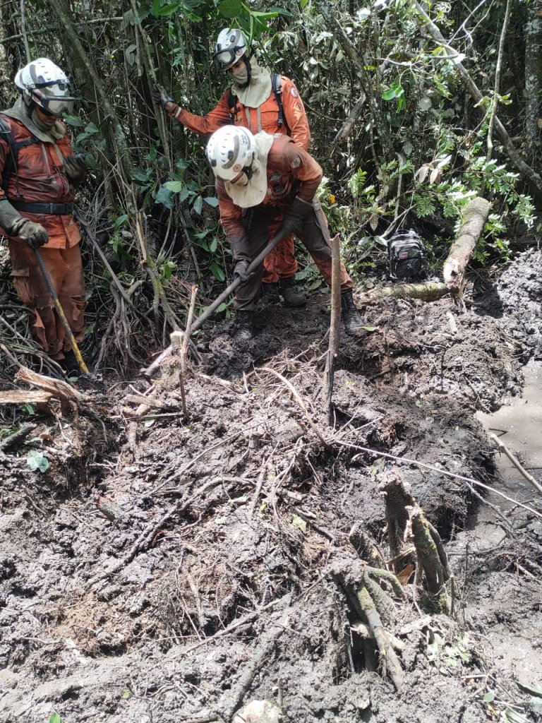 Operação Florestal 2024: focos de incêndio em Barreiras, Pilão Arcado e ...