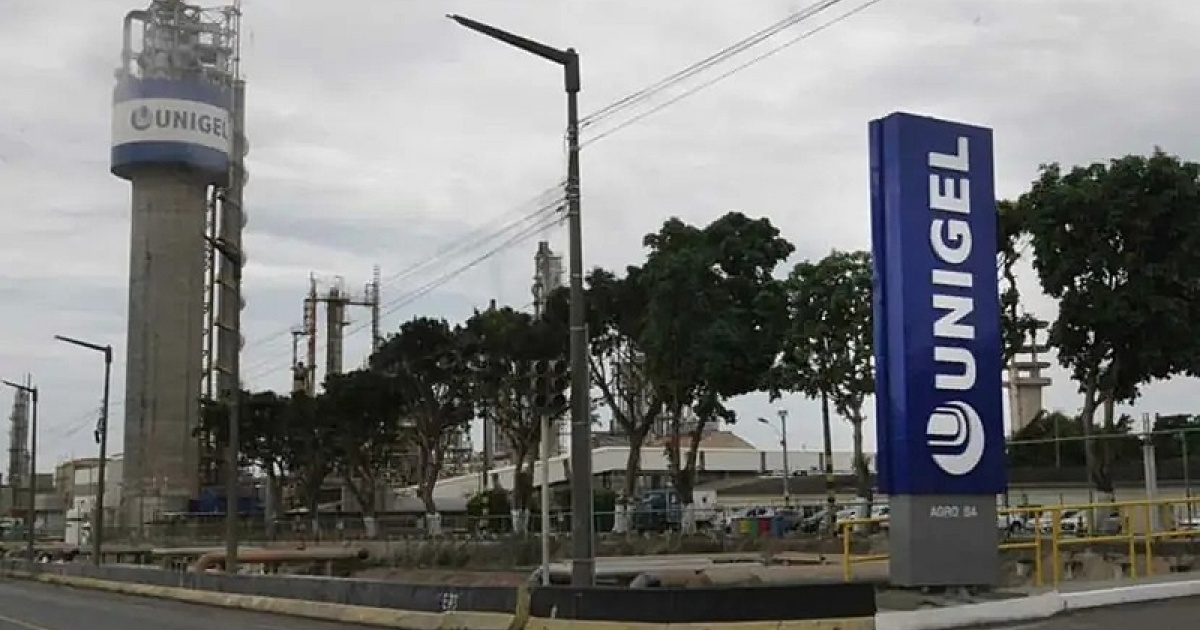 Unigel mantém negociação com a Petrobras para continuar operação na ...