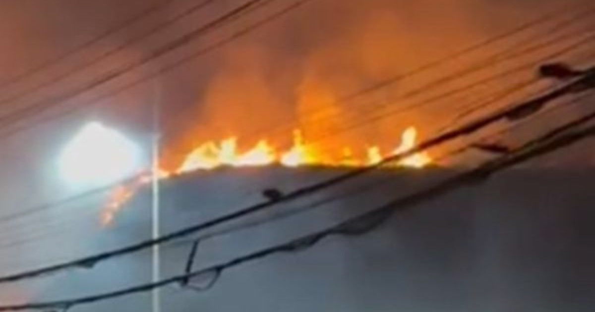 VÍDEO: Incêndio atinge morro na Avenida Paralela e assusta motoristas ...